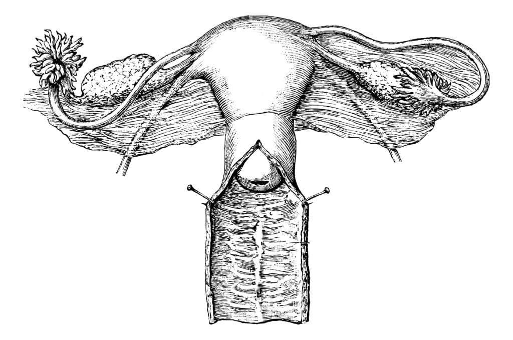 Pied diabétique (ou mal perforant plantaire) - Dr Learnycare