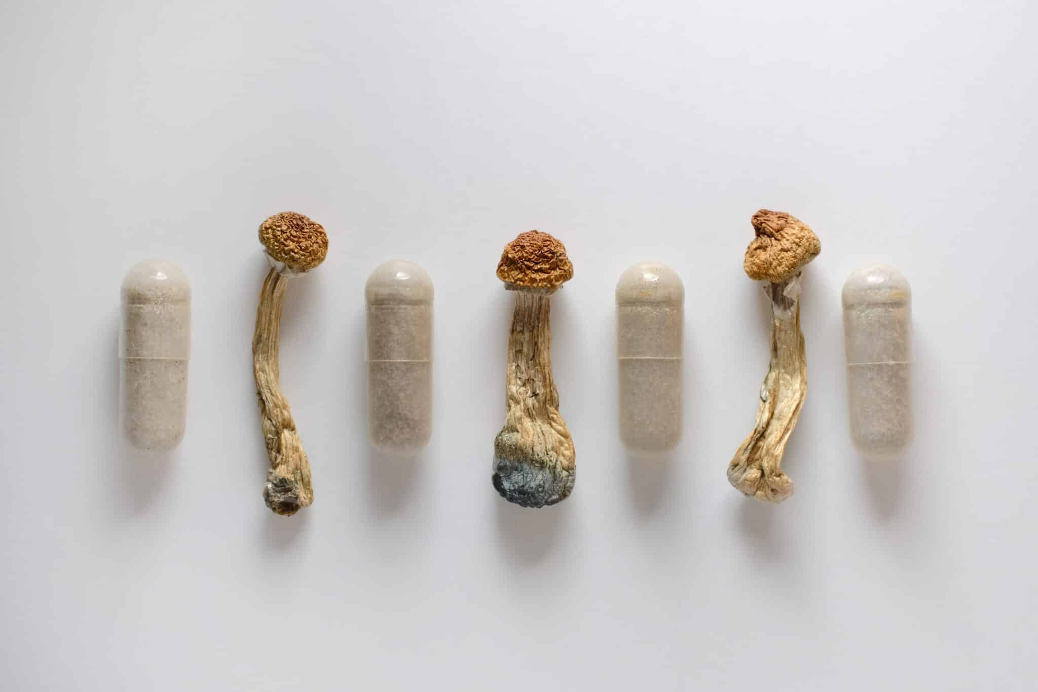 Hallucinog nes Dr Learnycare