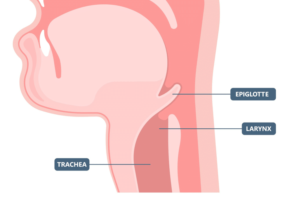 Œdème de Reinke - Dr Learnycare