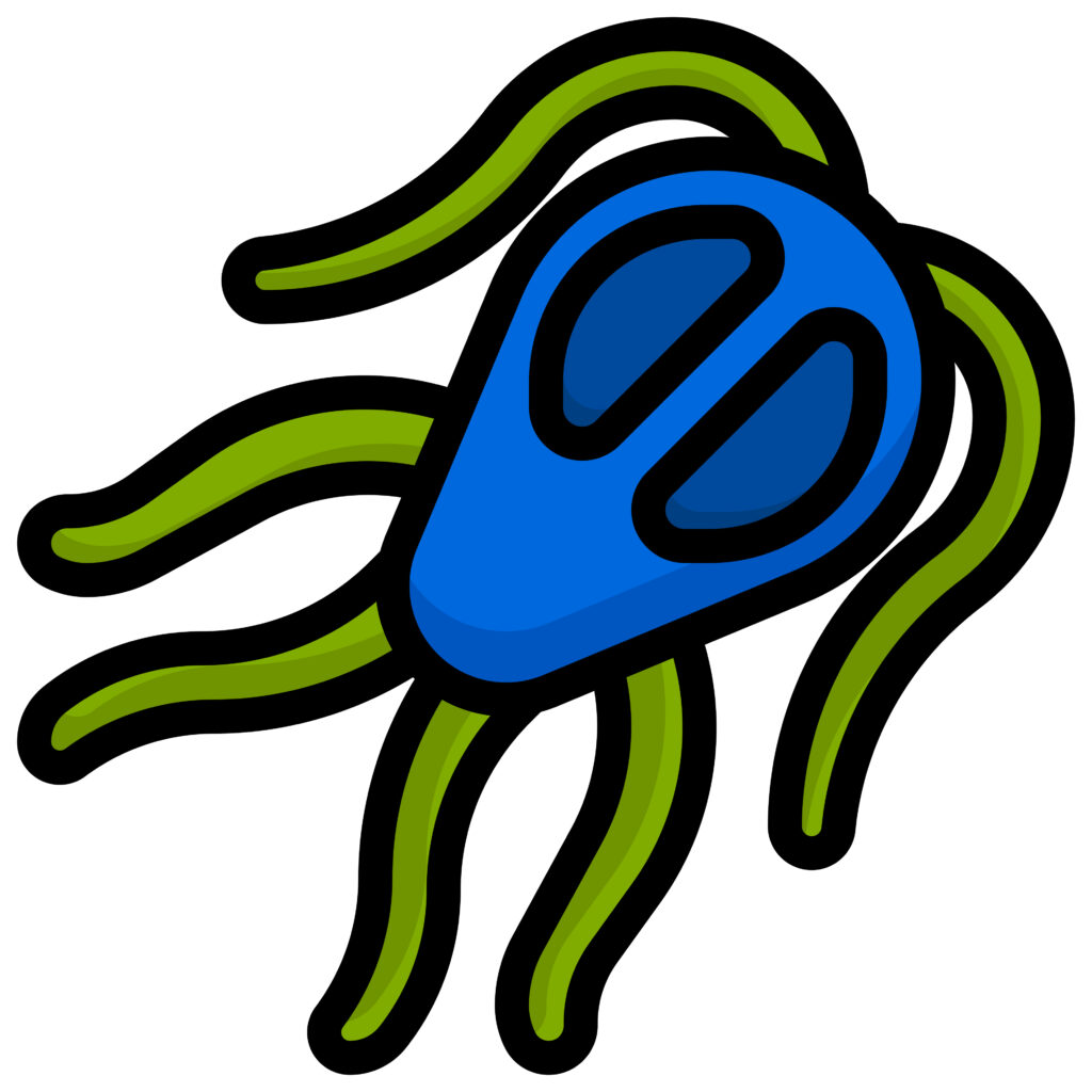 Botriomycome - Dr Learnycare